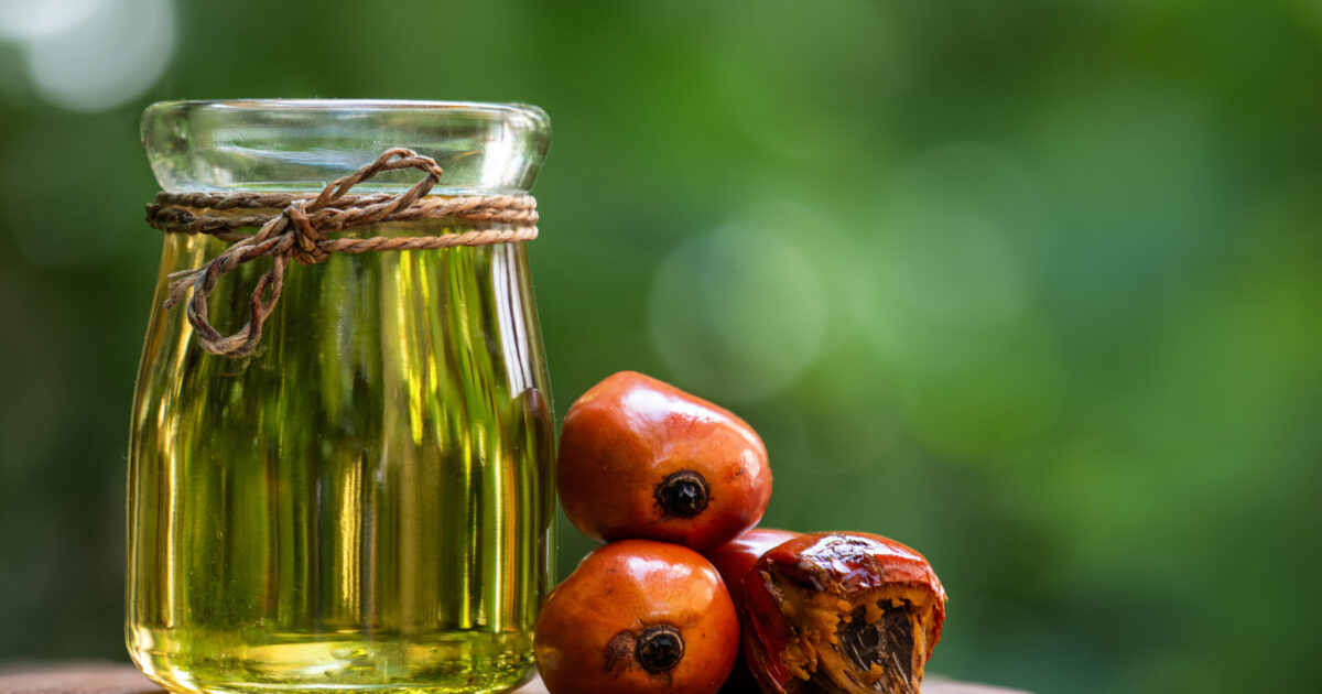 Palmolie: ‘woehoe’ of ‘boeh’? - Technopolis