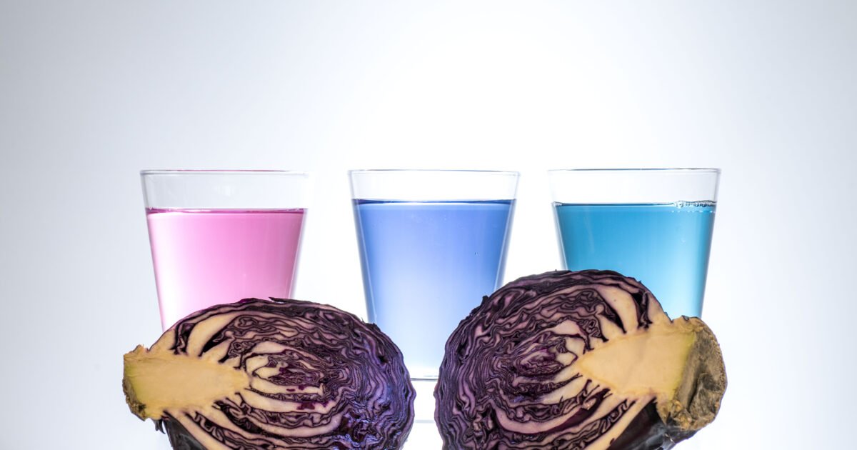 Experiment: Welke kleur heeft rode kool? - Technopolis